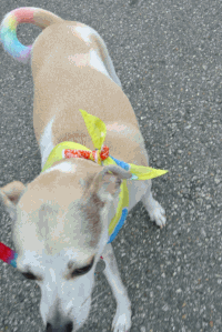 Cuidado GIFs - Get the best gif on GIFER