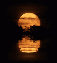 Misc GIFs - Get the best gif on GIFER