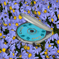 Disk GIFs - Get the best gif on GIFER