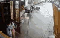 Parque GIFs - Get the best gif on GIFER