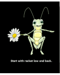 Physical GIFs - Get the best gif on GIFER