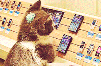 Sit GIFs - Get the best gif on GIFER