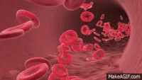 Disease GIFs - Get the best gif on GIFER