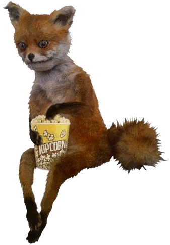 Fox eating popcorn GIF - Conseguir o melhor gif em GIFER