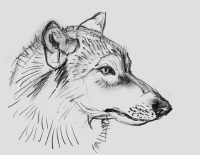 Breeding GIFs - Get the best gif on GIFER