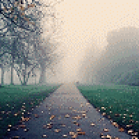 November GIFs - Get the best gif on GIFER