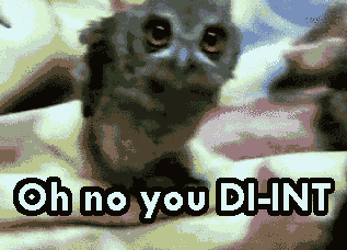 Diint GIFs - Get the best gif on GIFER