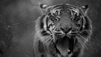 Powers GIFs - Get the best gif on GIFER