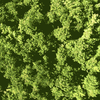 Bbc the private life of plants GIF - Conseguir o melhor gif em GIFER