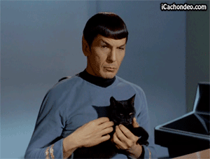 Prospurrrr GIF - Conseguir o melhor gif em GIFER