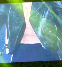 Maiz GIFs - Get the best gif on GIFER