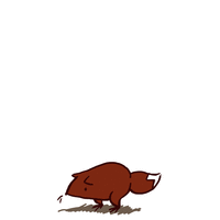 Whee GIFs - Get the best gif on GIFER