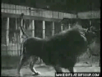 Reasoning GIFs - Get the best gif on GIFER
