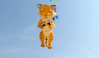 Kites GIFs - Get the best gif on GIFER
