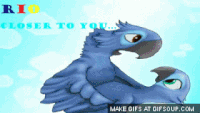 Rio GIFs - Get the best gif on GIFER