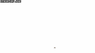 List of items GIF - Conseguir o melhor gif em GIFER