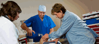 Nursing GIFs - Get the best gif on GIFER
