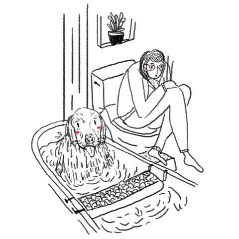 Percolating GIFs - Get the best gif on GIFER