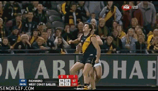 Sheary GIFs - Get the best gif on GIFER