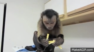 Frito GIFs - Get the best gif on GIFER