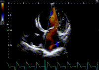 Program GIFs - Get the best gif on GIFER