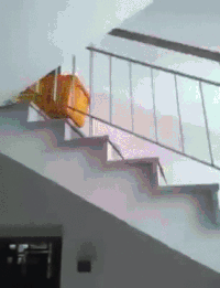 Erfolg GIFs - Get the best gif on GIFER