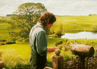 Frodo GIFs - Get the best gif on GIFER