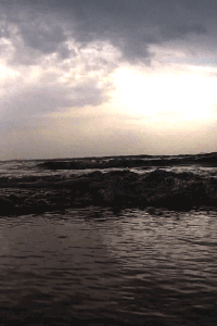 Meadow GIFs - Get the best gif on GIFER