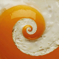 Nutrients GIFs - Get the best gif on GIFER