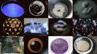 Cymatics GIFs - Get the best gif on GIFER