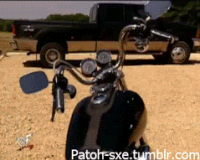 Fitting GIFs - Get the best gif on GIFER