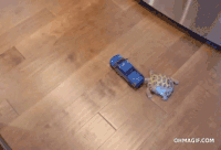 Tortoise GIFs - Get the best gif on GIFER