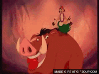 Timon GIFs - Get the best gif on GIFER