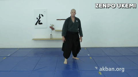 Ukemi GIFs - Get the best gif on GIFER
