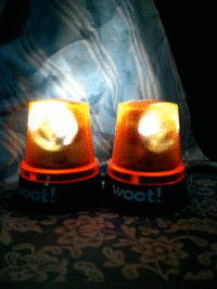 Woot GIFs - Get the best gif on GIFER