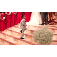 Hangin GIFs - Get the best gif on GIFER