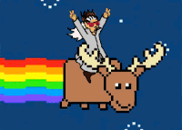 Elk GIFs - Get the best gif on GIFER