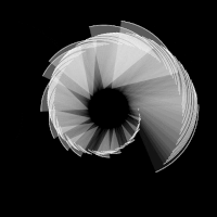 Shell GIFs - Get the best gif on GIFER