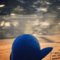 Ensino GIF - Conseguir o melhor gif em GIFER