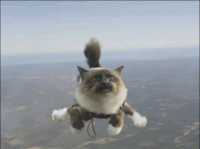 Libre GIFs - Get the best gif on GIFER