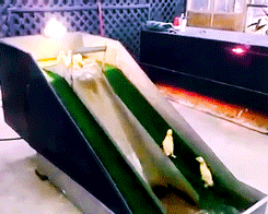 Patito GIFs - Get the best gif on GIFER