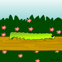 Caterpillars GIFs - Get the best gif on GIFER