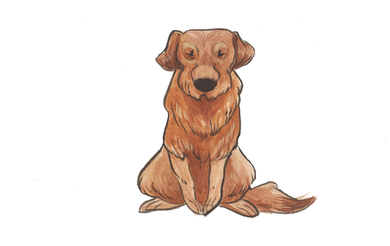 Alien sharks GIF - Conseguir o melhor gif em GIFER