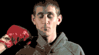 Boxer GIFs - Get the best gif on GIFER