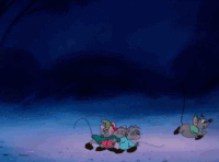 Weeeeeeeeeee GIFs - Get the best gif on GIFER