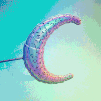 C GIFs - Get the best gif on GIFER