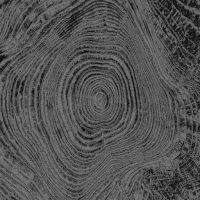 Gray GIFs - Get the best gif on GIFER