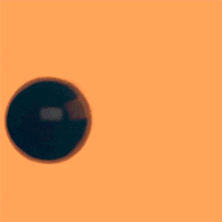 Defense mechanism GIFs - Get the best gif on GIFER