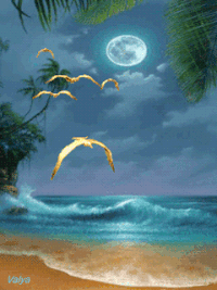 Seagulls GIFs - Get the best gif on GIFER
