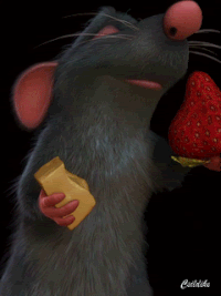 Ratatouille GIFs - Get the best gif on GIFER